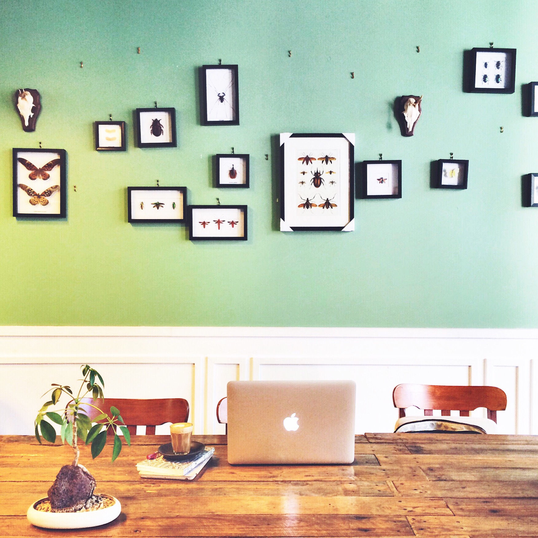8 Adelaide cafes you will love - World of Wanderlust