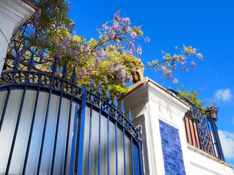 A Quick Guide to Capri - World of Wanderlust