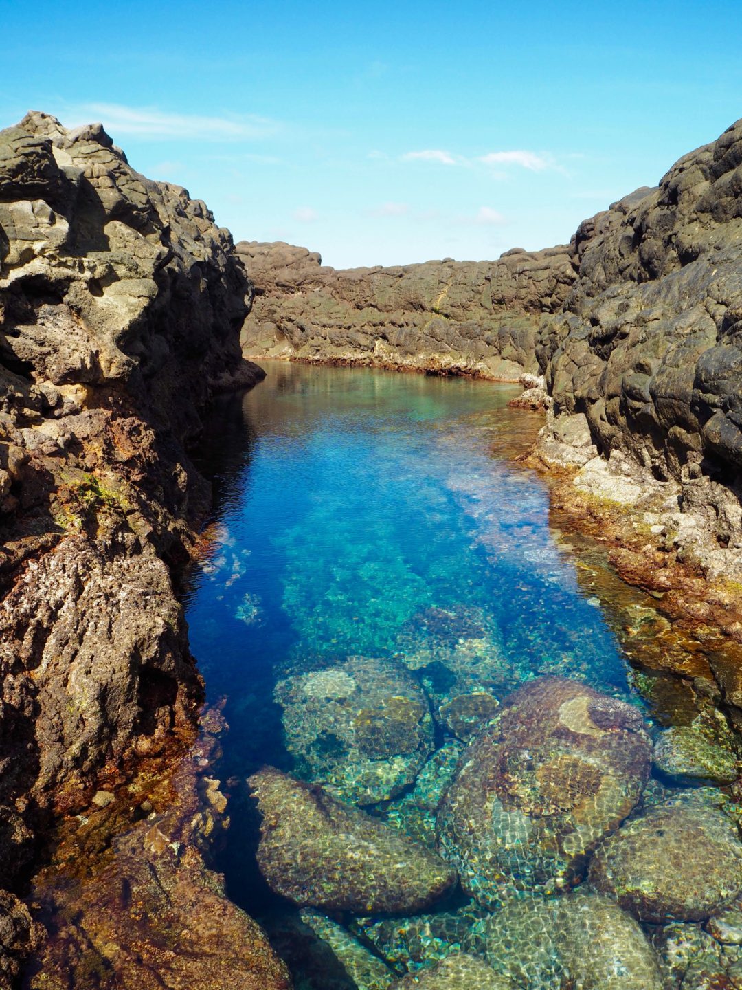 A Quick Guide to Norfolk Island: What to See, Do, Eat & Enjoy! - World ...