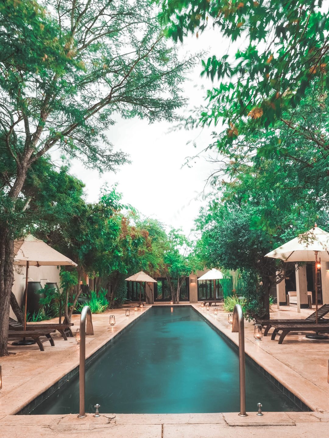 The 10 Best Countries for an African Safari - World of Wanderlust
