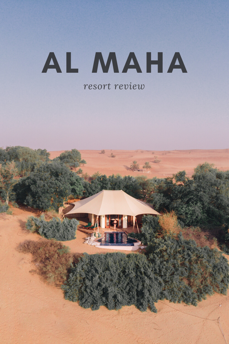 Checking In to Al Maha Desert Resort & Spa | Positive vibes only