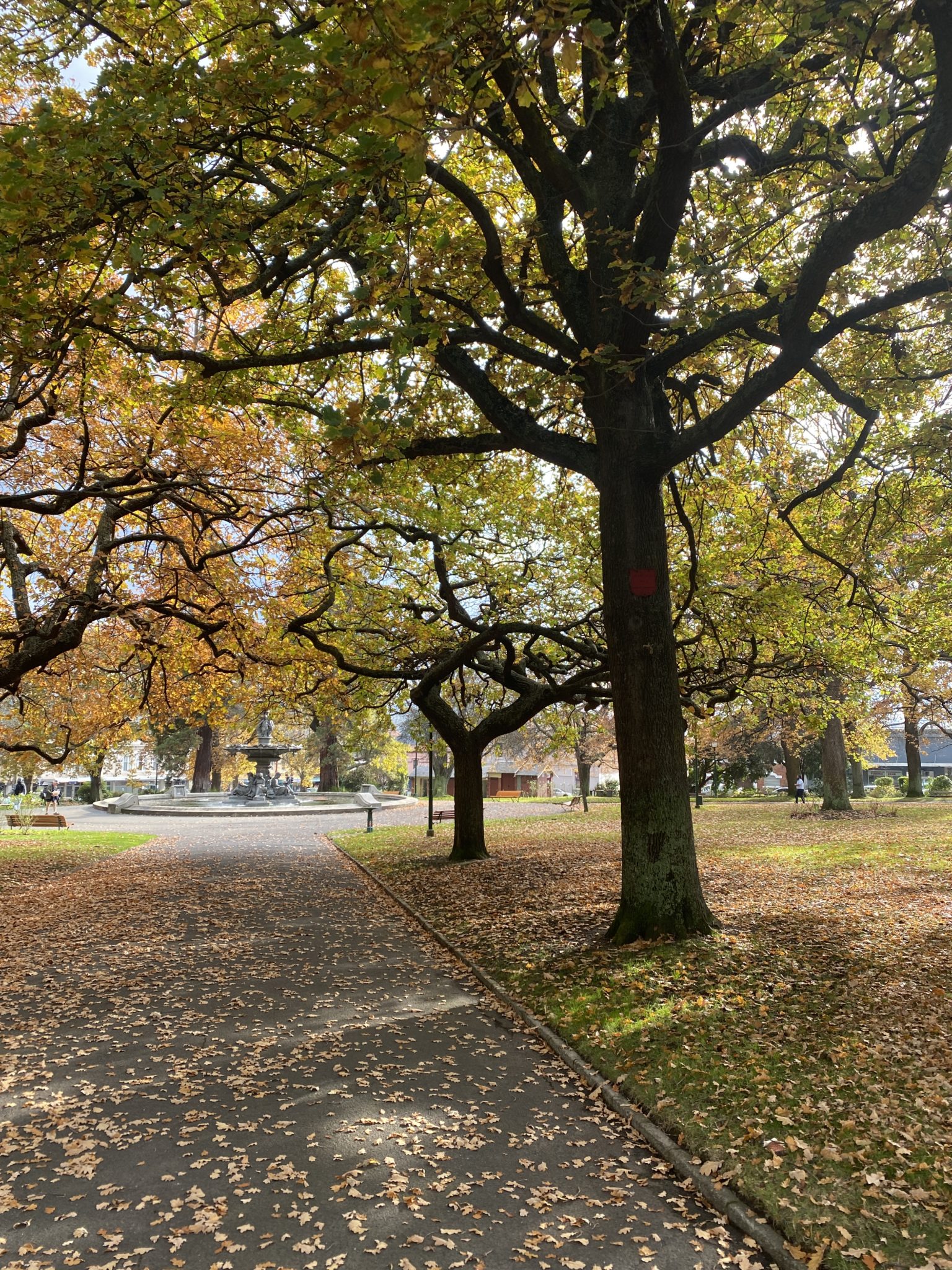 The 12 Best Things to do in Launceston - World of Wanderlust