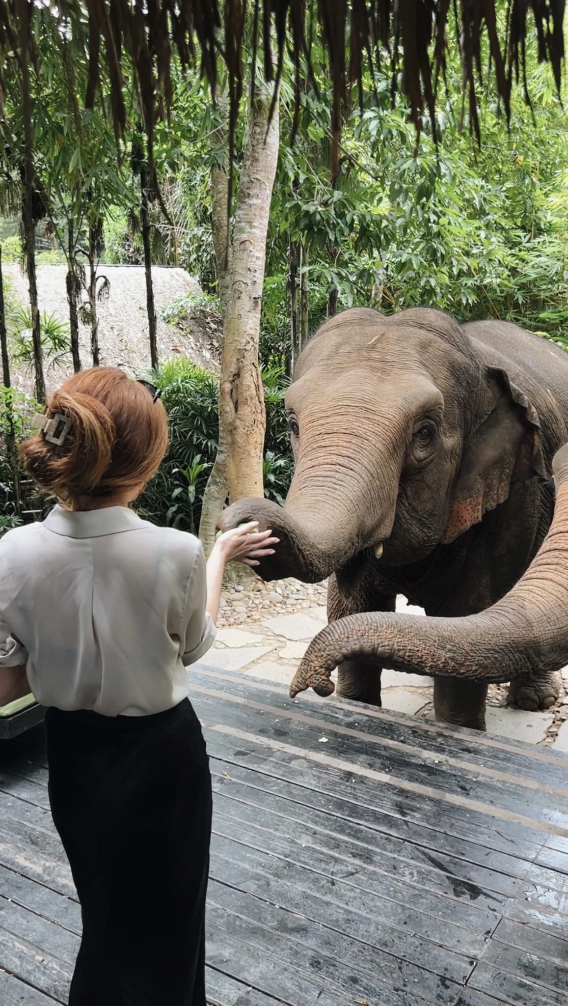 Processed with VSCO with a6 preset - World of Wanderlust